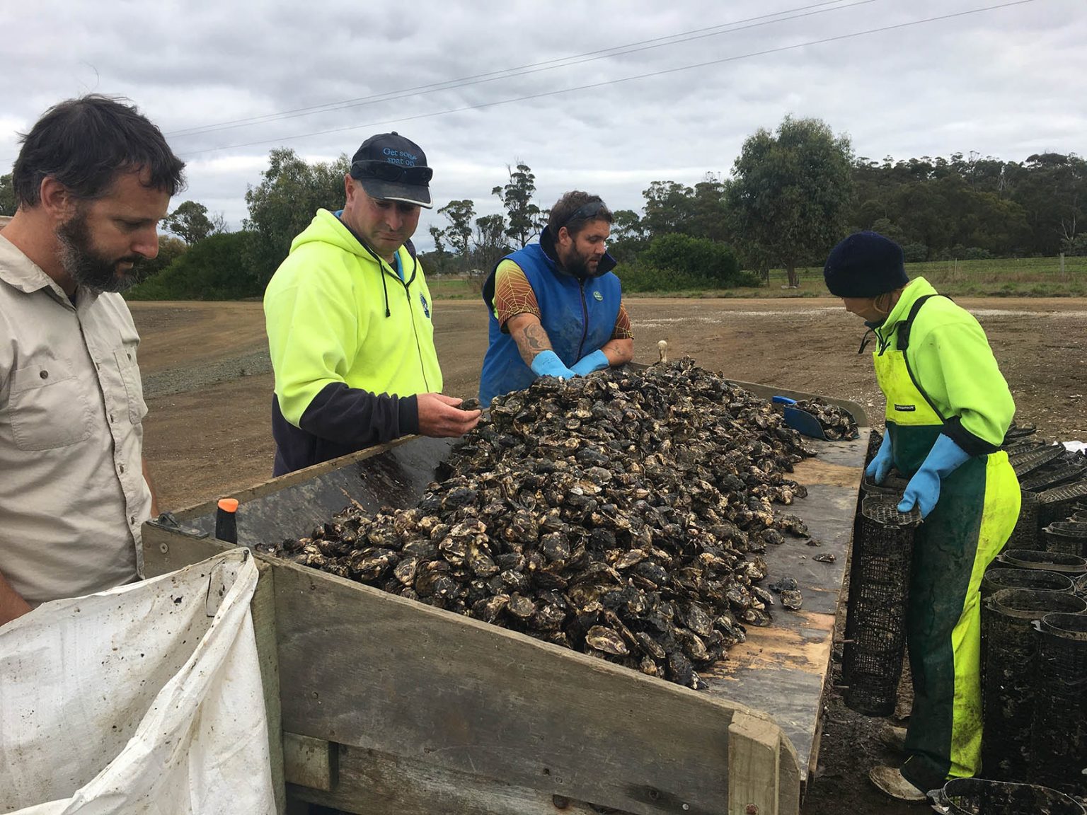 ROV Biosecurity Training - Seafood & Maritime Training Hobart, Tasmania